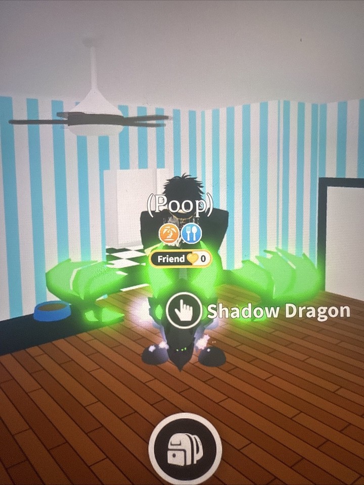 Mega Fly Ride Shadow Dragon - Adopt A Pet From Me - Fast Delivery 📦 ...