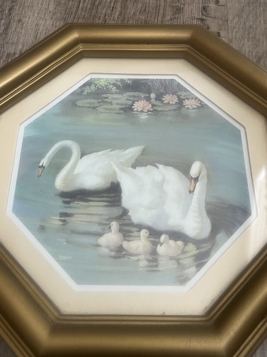 Vintage Swan paintings framed & matted in Gold Frames. Octagon And ...