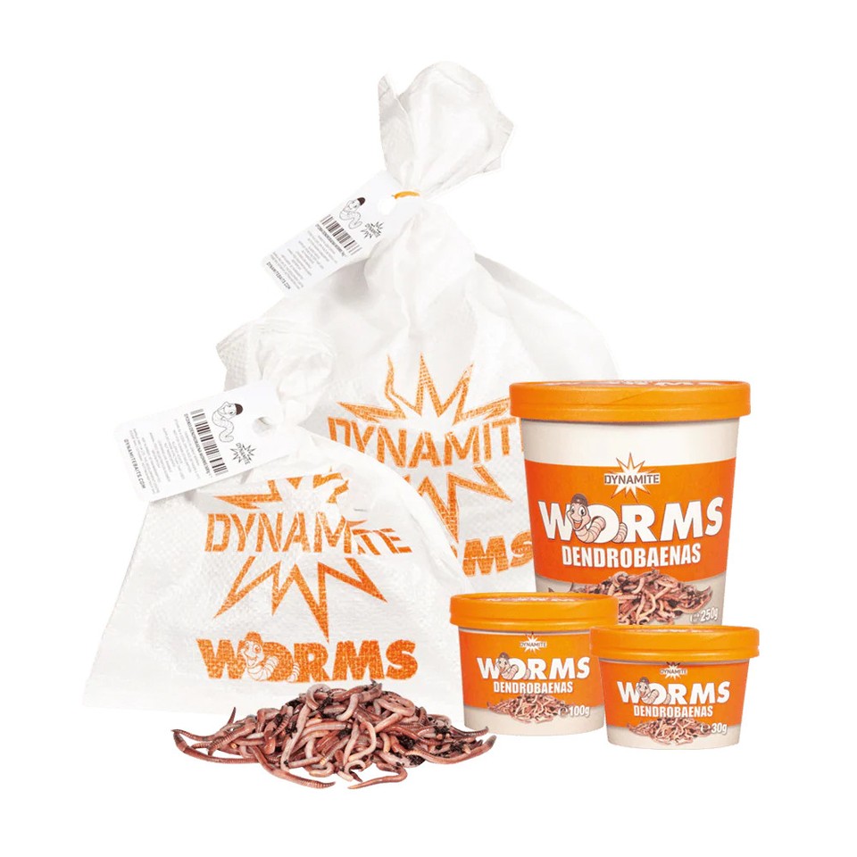 Dynamite Baits Worms & Lobworms | eBay UK