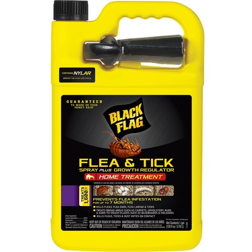 Black Flag Extreme Flea Killer Plus Growth Regulator RTU for Insects 1 ...