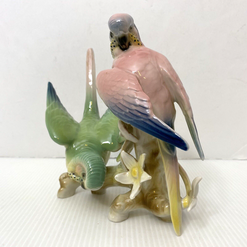 Wilhelm Rittirsch Dresden Porcelain Parakeet Parrot Bird Figurine Not ...