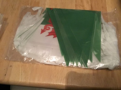 Wales Triangle Flag Bunting 33ft / 10 metres | eBay