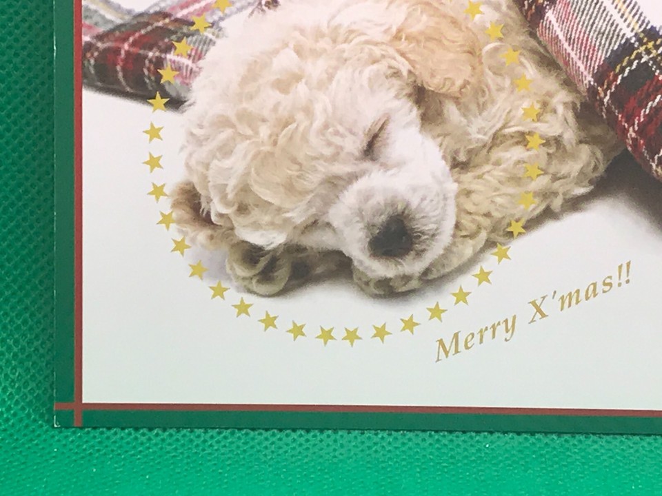 Poodle THE DOG 2 Posr Card Merry X mas Artlist collection Japan rare | eBay