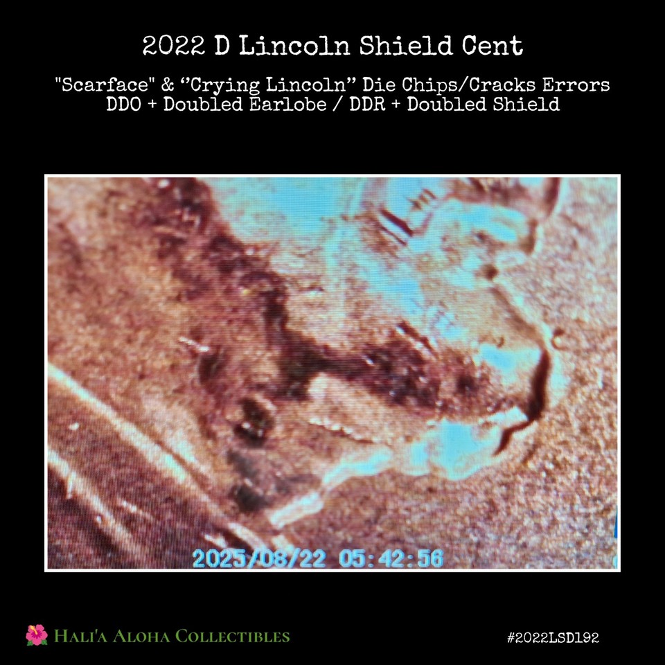💠🪙💠Uncirc 2022 D Lincoln Shield Cent DDO/DDR | Crying Lincoln ...