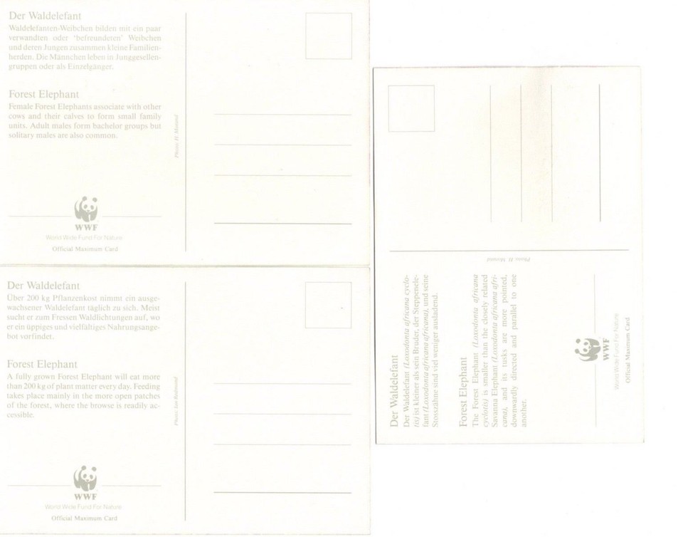 WWF Elephants 3 Maxi Postcards FDC Gabon 1984 Free Shipping | eBay