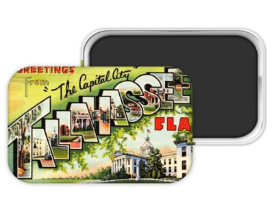 Florida Large Letter Postcard Magnet, Refrigerator Magnet, Tallashassee ...