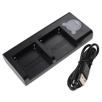 Chargeur USB double pour Sony MiniDV CCD-TRV72 CCD-TRV716 CCD-TRV715 ...
