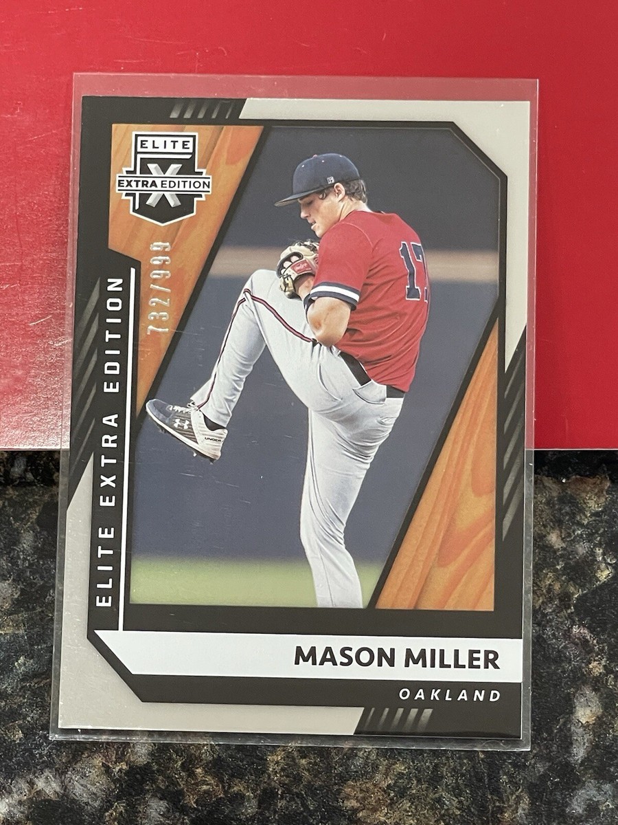 Miller Elite Miller Cat Welding Hood/miller Cat Edition 1 Digital