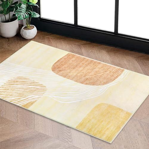 Small Area Rug 2x3 Modern Indoor Throw Rug Washable Area Rug Non 2' x 3 ...