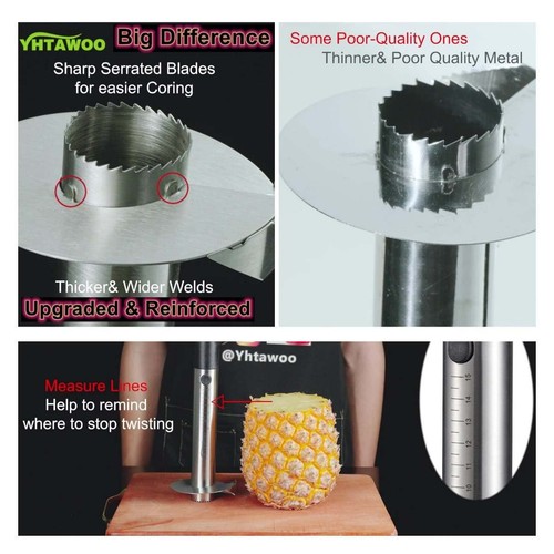 Vakoo Apple Corer Ultra Sharp Stainless Steel Easy to Use and Clean ...