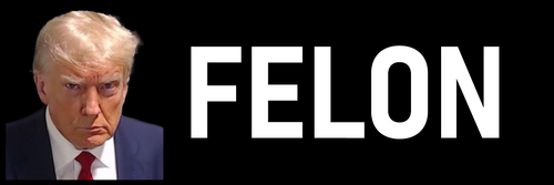 Donald Trump Felon Sticker Mug Shot Huge Can't Miss Guilty Trial ...