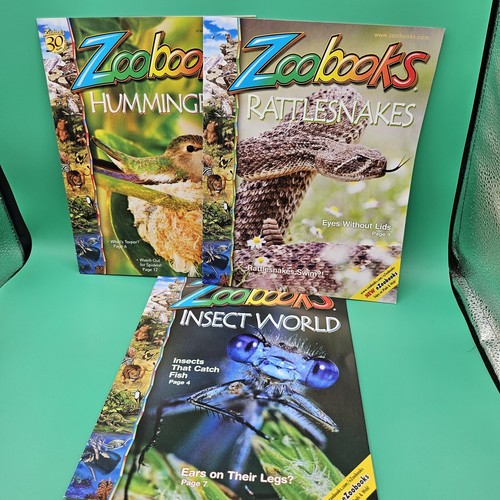 Zoobooks Lot Of 3 Children's Magazines Hummingbirds Rattlesnakes Insect ...