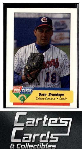 Dave Brundage 1994 Fleer ProCards #805 Calgary Cannons | eBay