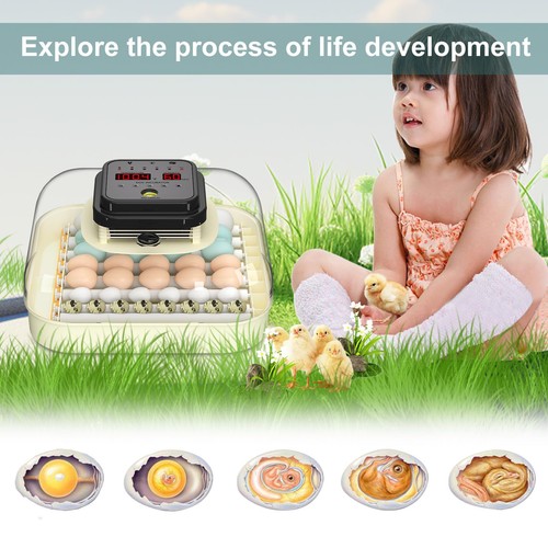 35 Egg Incubator with Automatic Egg Turning and Humidity Control ...