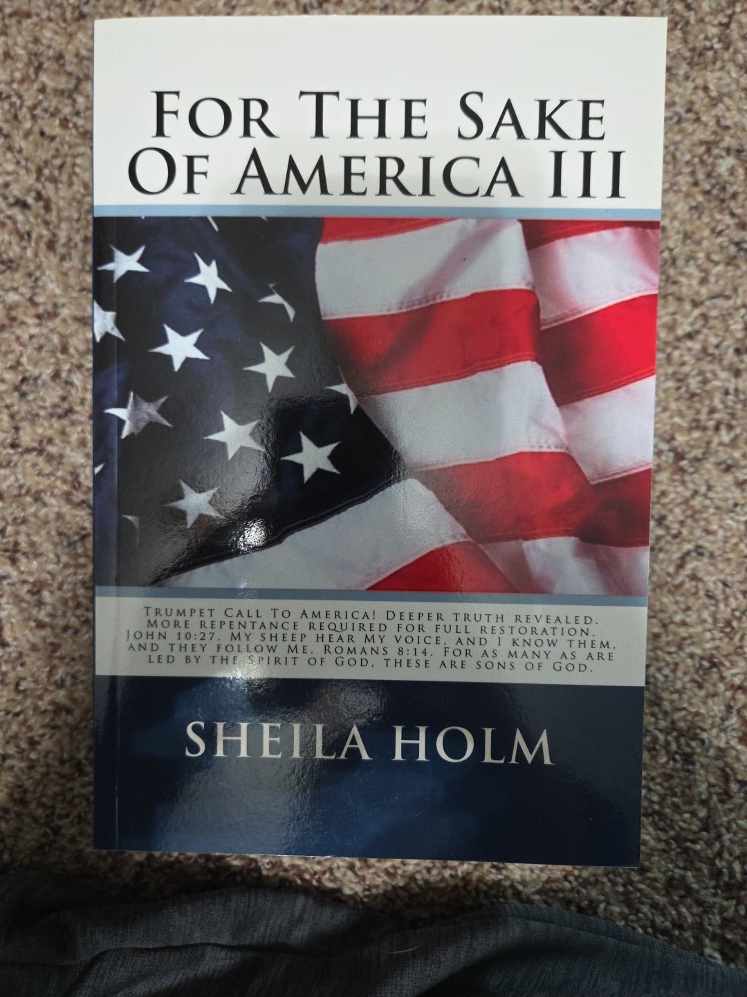 For The Sake Of America III by Sheila Holm (English) Paperback Book ...