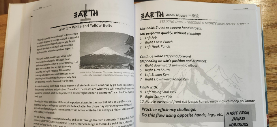 The Dojo Martial Arts New 2026 Core Curriculum Book - Hardcover Book ...