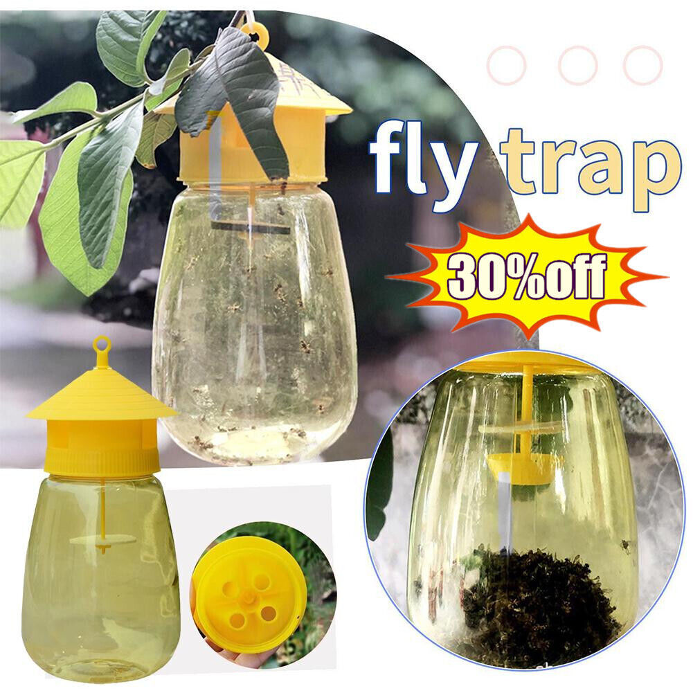 Fruit Fly Trap Reusable Yellow Cage with Drosophila Catcher for Patio ...