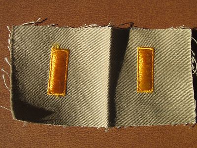 US Army Officer 2nd Lt collar insignia matched pair on tan summer twill ...