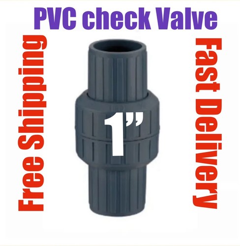 PVC Check valve 1” LD | eBay