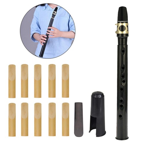 Pocket Saxophone Convenient Portable Woodwind Instrument for Kids ...