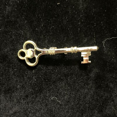 Vintage Gold-Toned Skeleton Key Lapel Pin | eBay