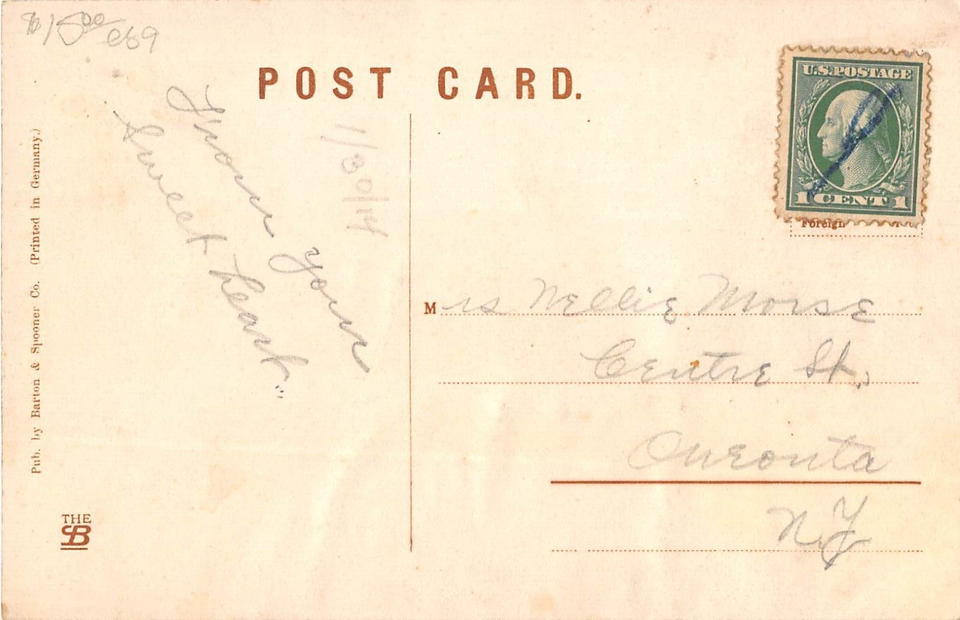 1914 Rustic Bridge Fleischmanns NY post card Delaware county Catskill ...