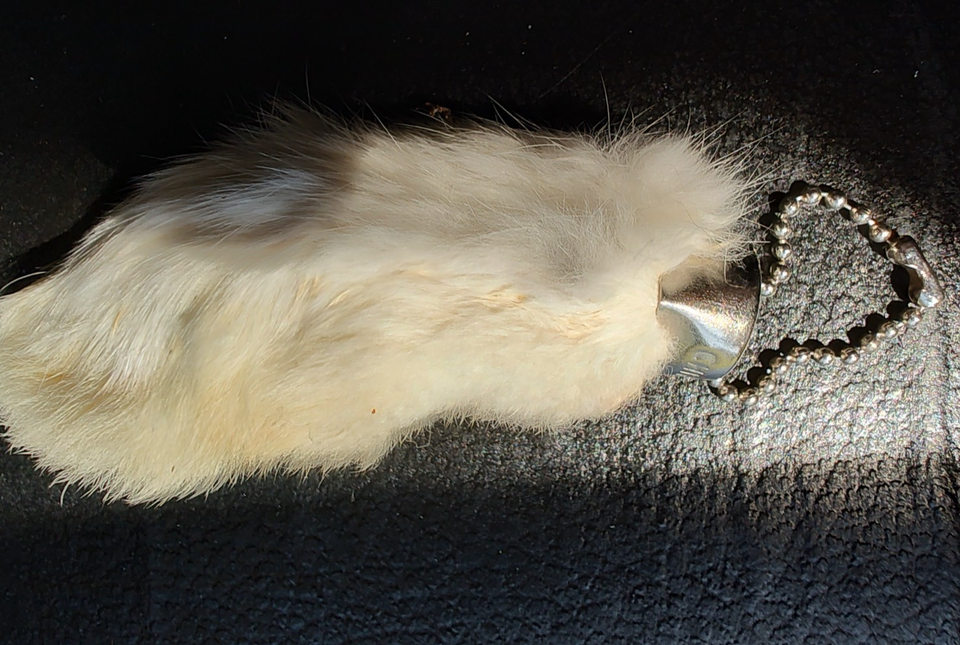 Real Natural Lucky Rabbit Foot Keychain with nails white mixed color ...