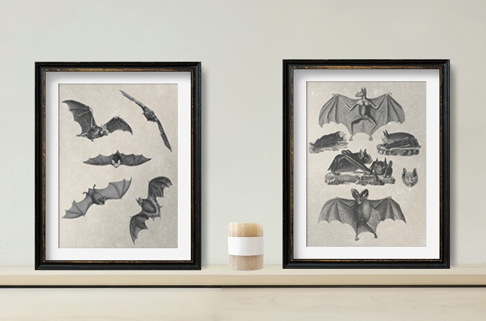 Gothic Wall Decor 6 (8x10) Bat Prints Whimsigothic Goth Gifts Pagan ...