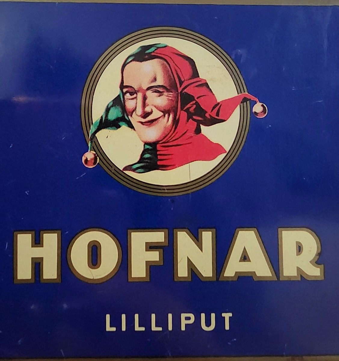 Hofnar Vector