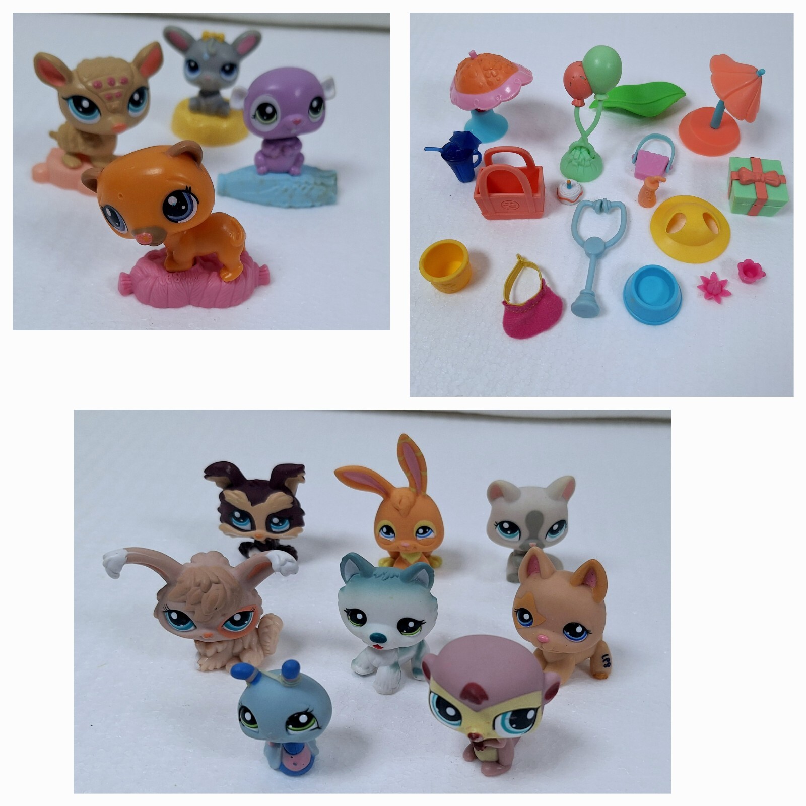 LOT Littlest Pet Shop LPS #1563 Blue Husky Dog Green Eyes Yorkie Snail ...