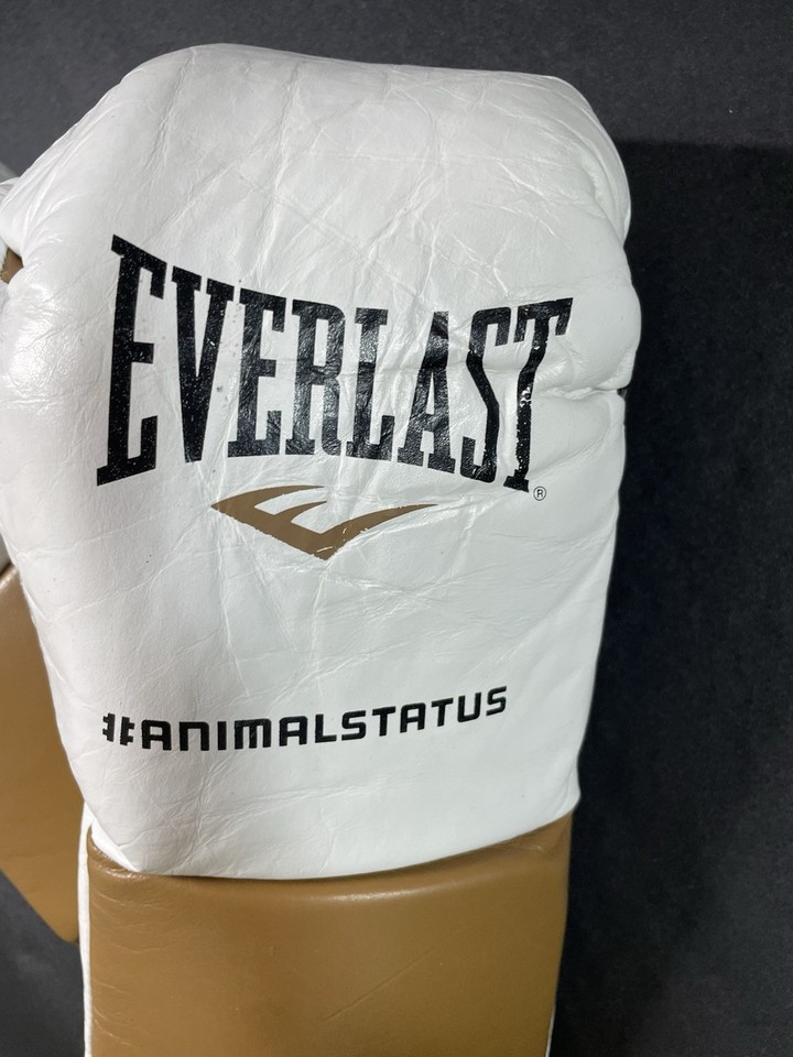 custom everlast MX2 Pro fight boxing glove 10oz | eBay