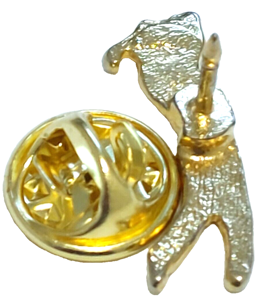 Golfer Teeing Off Golf Course (Gold Toned) Lapel Pin | eBay