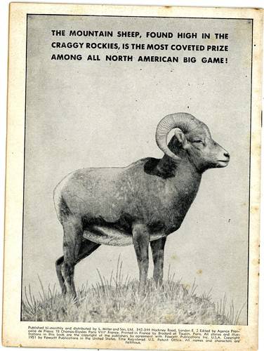 Bob Swift # 1 - Saunders painted cover-GOLDEN AGE! UK VARIANT! SCARCE ...