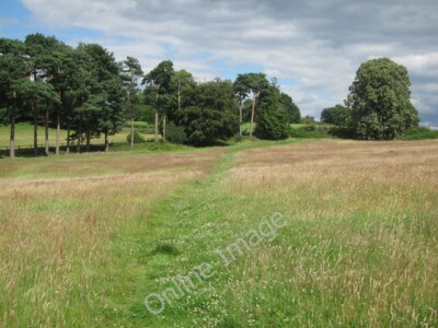 Photo 6x4 High Weald Landscape Trail Withyham Footpath and trail past ...