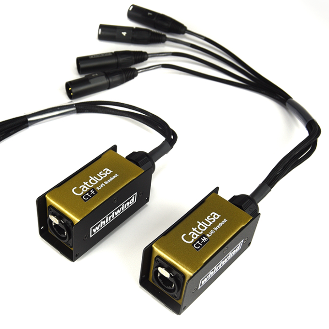 Whirlwind Catdusa CT-M Ethercon RJ45 Mini Audio Drop Snake to 4 Male ...