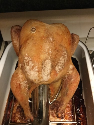 Camp Chef Turkey Cannon Infusion Roaster for sale online | eBay