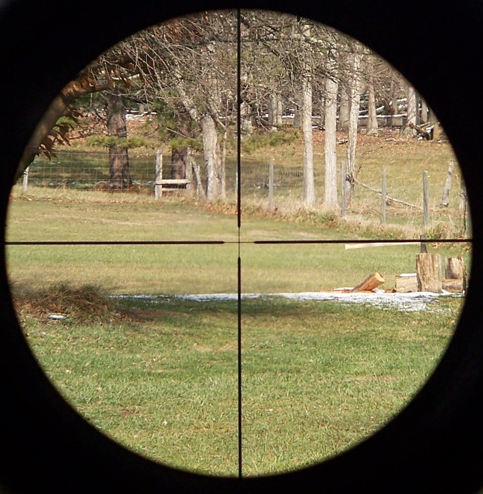 Bausch & Lomb 3-9x40mm Rifle Scope ~Elite 3000~ Matte Minty | eBay