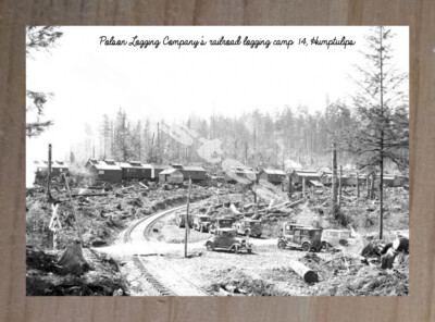 Historic Polson Logging Company's railroad logging camp, Humptulips ...