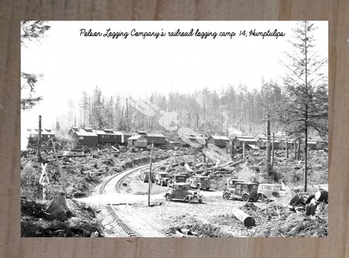 Historic Polson Logging Company's railroad logging camp, Humptulips ...