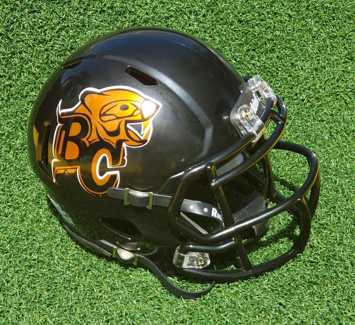 Bc Lions Helmet