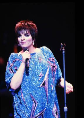 Liza Minelli performs June 28 1985 at the Pacific Amphitheater Cos ...