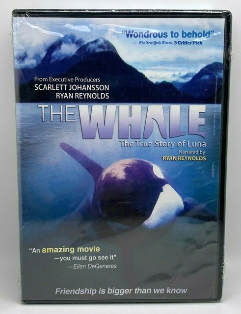 The Whale (DVD) for sale online | eBay
