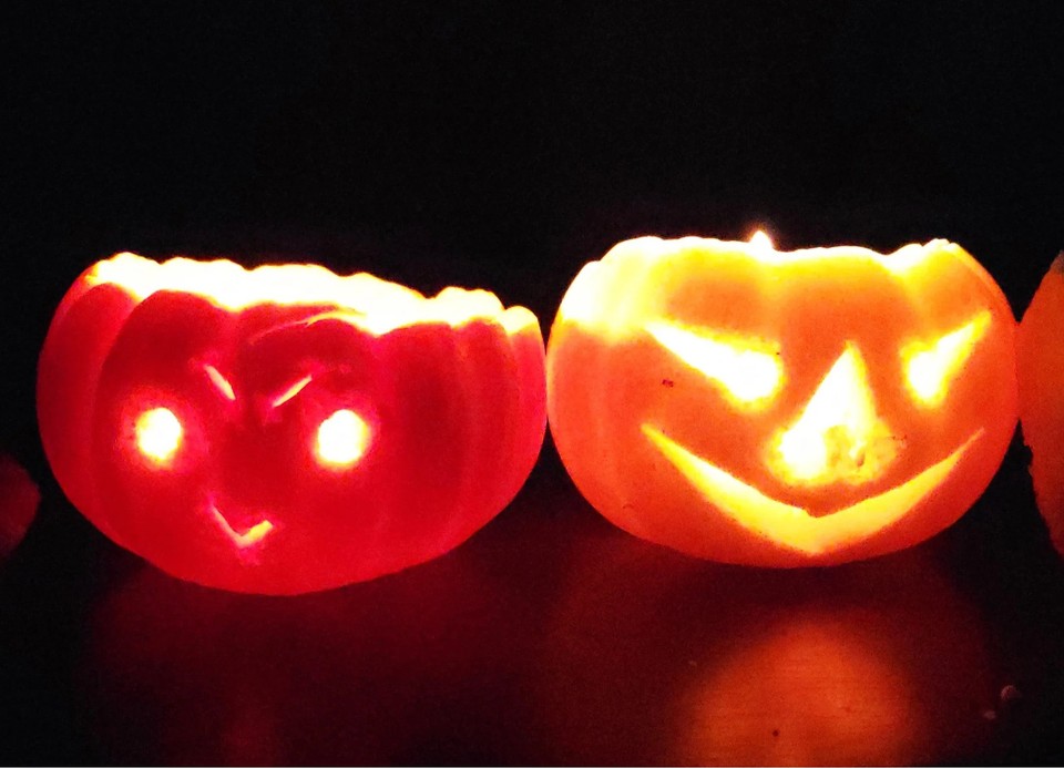 Munchkin Pumpkin Seeds - For 2026 Planting Mini Pumpkins Jack Be Little ...