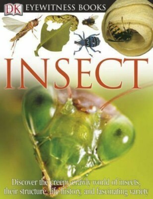 📕📖INSECT (DK EYEWITNESS BOOKS) Hardcover 9780756606923| eBay