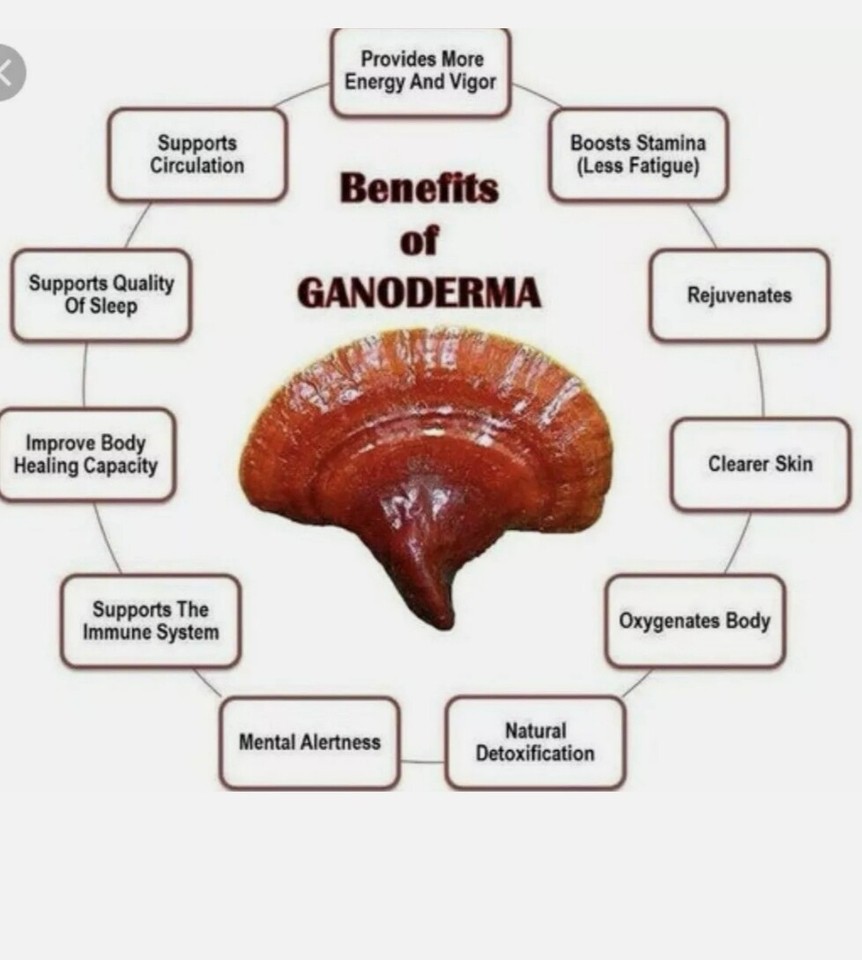 Gano Excel-Ganoderma(90 Capsules)+Excellium(90 Capsules)+Cordyceps(60 ...