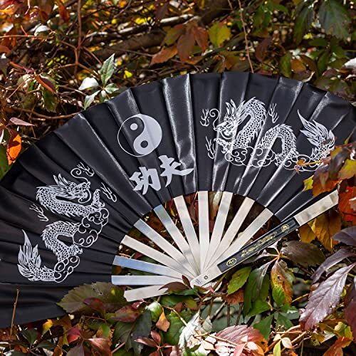 Kung Fu Fighting Fan 805319217749 | eBay