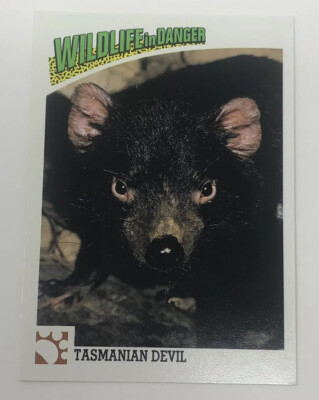 1992 Wildlife In Danger #18 Tasmanian Devil Card | eBay