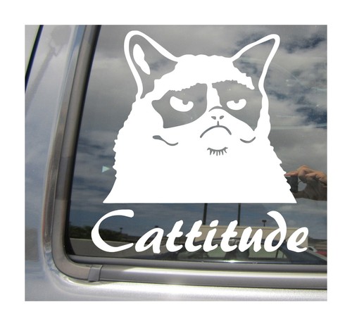 Cattitude Angry Pussy Cat - Mad Kitty Car Auto Window Vinyl Decal ...