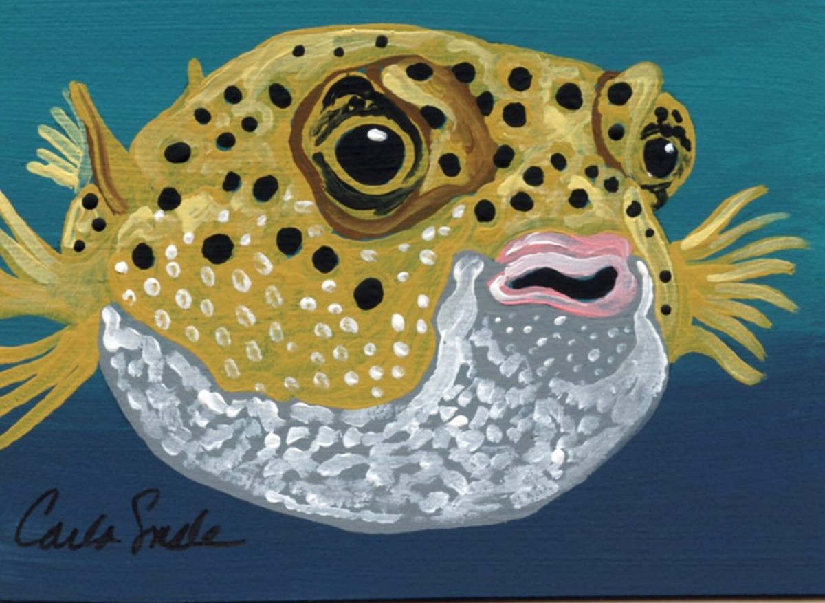 How To Draw A Realistic Puffer Fish Huge Blowfish Parrot Puffer Real