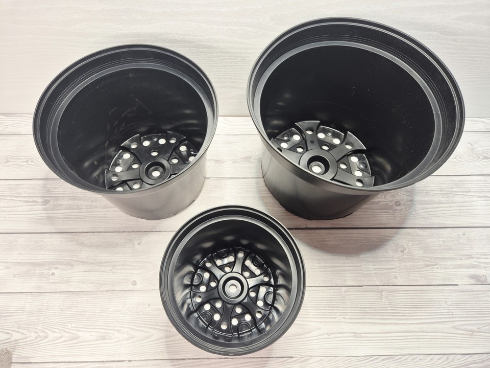 Pot Gang May Subscription Box (Pots,Seeds & Compost) | eBay UK